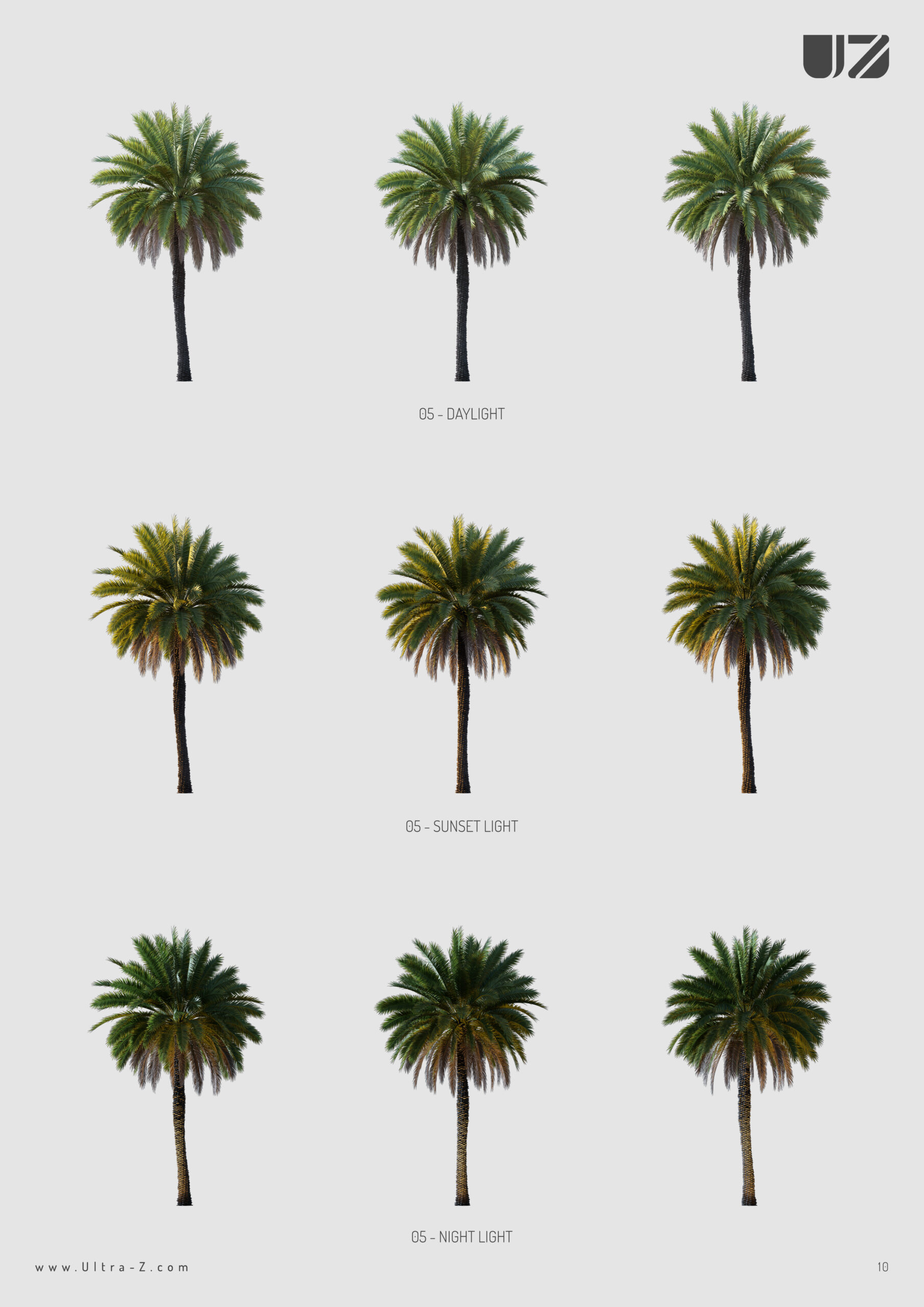 PALM TREES SET 2 - Ultra Z